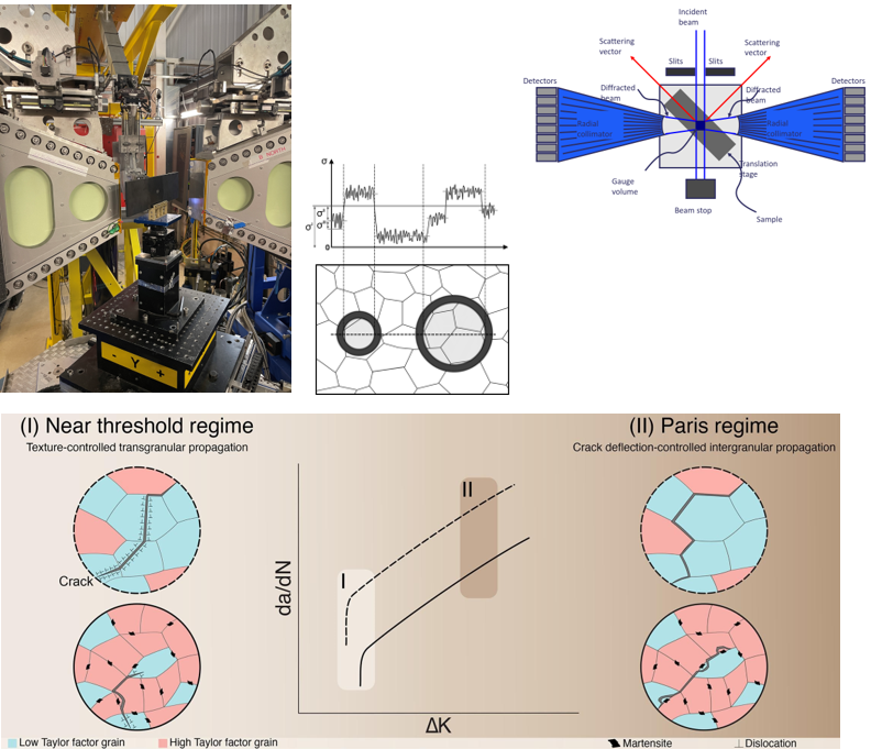 1.3 Strain, stress and damage evolution in alloys during cyclic loading considering interplay of ...